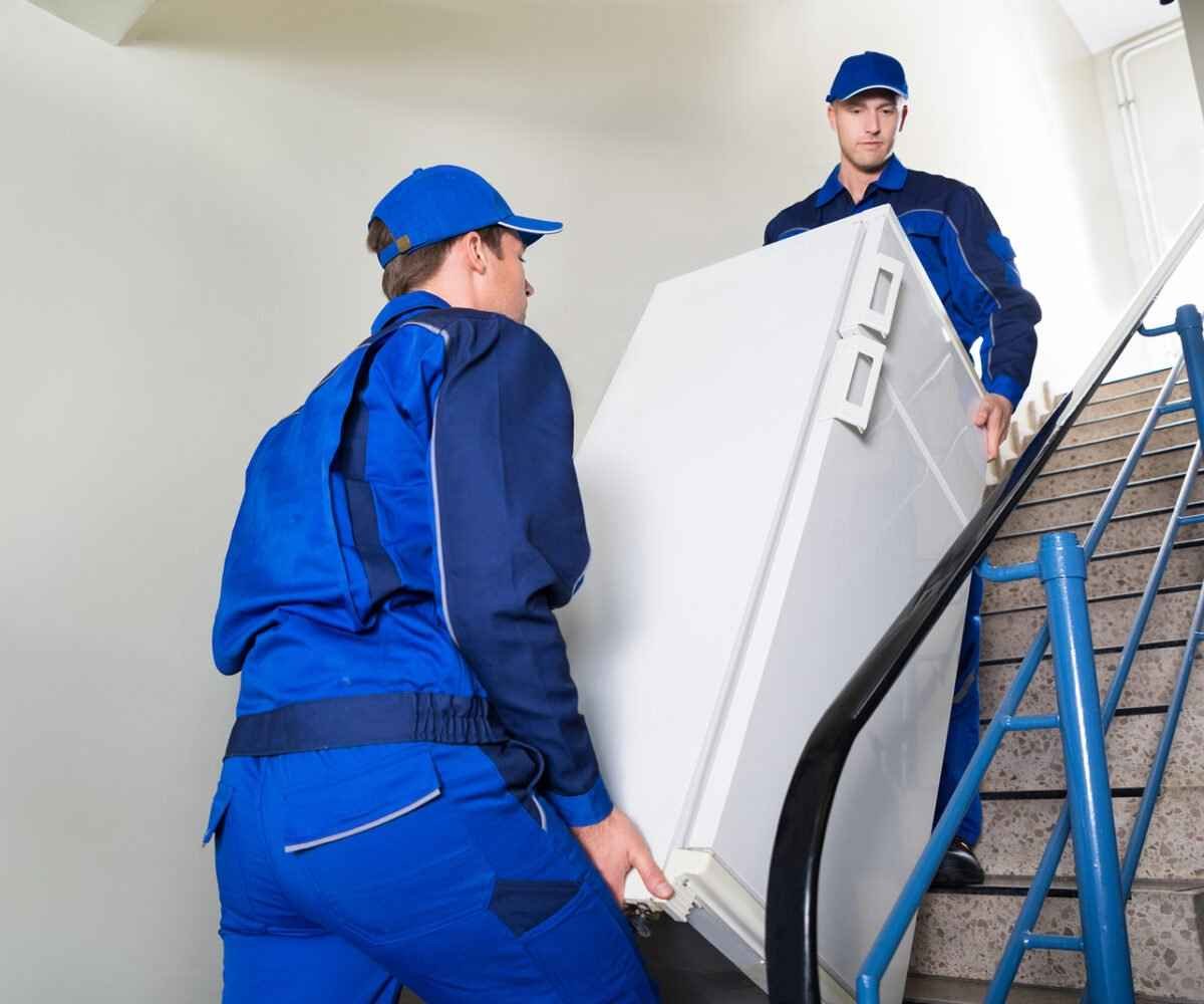 The Dos And Donts When Transporting A Fridge Quick Easy Moving The Dos And Donts When Transporting A Fridge Quick Easy Moving
